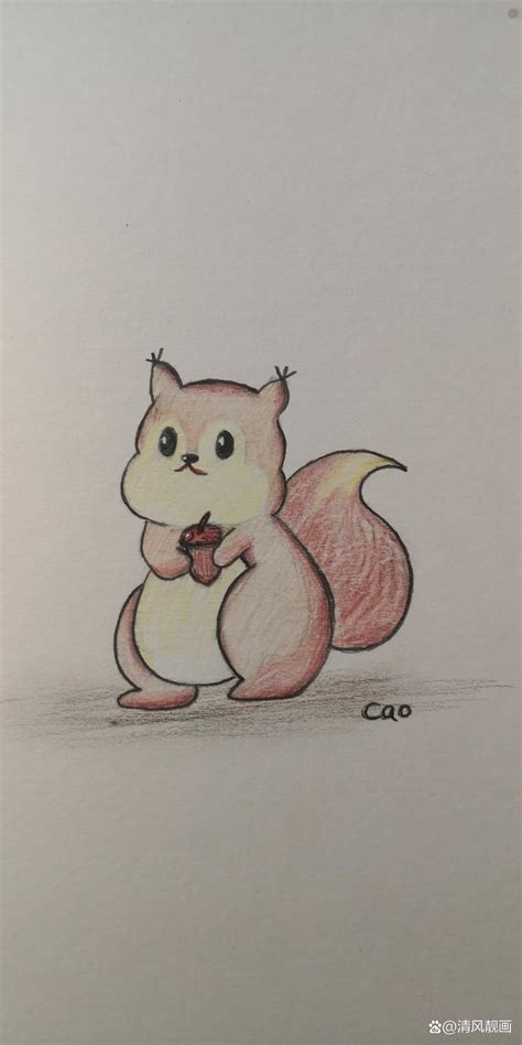 松鼠简笔画和兔子简笔画（高清12张） 简笔画图片大全