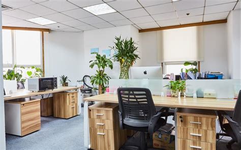 永州网站建设视频营销推广道县网络公司 湖南劲草网络公司