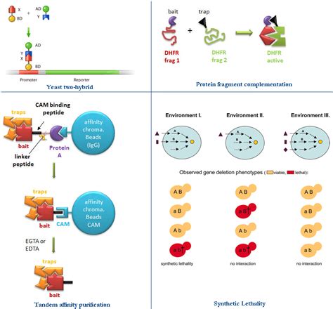 1 Some Of The High Throughput Experimental Techniques Developed For