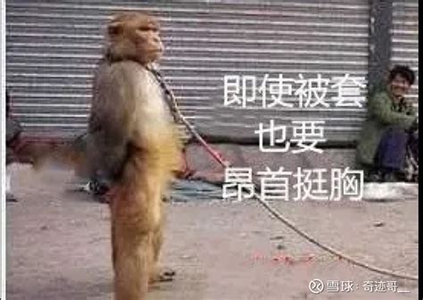 以为今天接着昨天的反弹能持续一天很好干呢没想到又是这样 哎熊冠全球 胜宏科技 SZ300476 上午高抛 雪球
