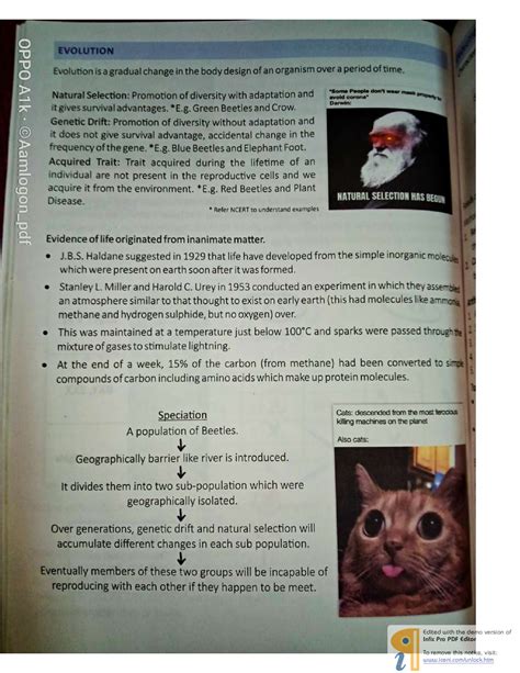 Bkp Cheat Sheet Science Class 10 Utkarsh Saxena Page 62 Flip Pdf Online Pubhtml5