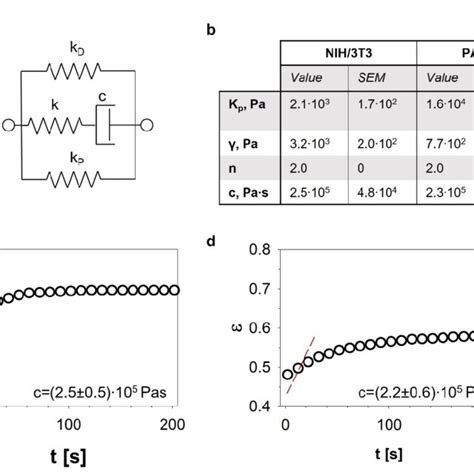 A Schematic Of The Phenomenological Model Used To Fit Experimental Download Scientific Diagram