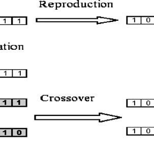 Schematic Representation Of Genetic Algorithm Operations Download Scientific Diagram