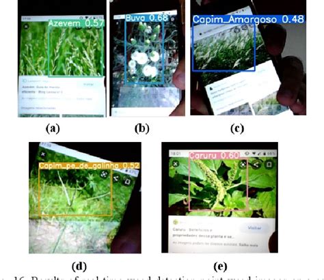 Figure 16 From Real Time Weed Detection Using Computer Vision And Deep Learning Semantic Scholar