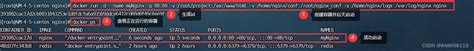 Docker上下载安装nginx——解决多端口访问问题docker下载nginx Csdn博客