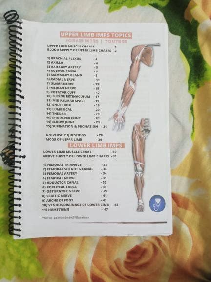 Youtube Upper Limb Lower Limb Modules
