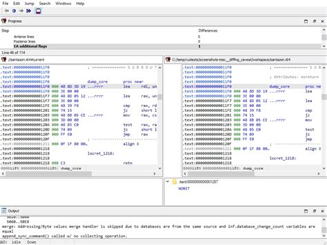 Hex Rays Vaults Visual Client User Manual Hex Rays Docs