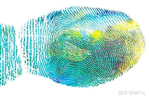 生命科学样品拉曼测试制备篇 贴壁细胞制备篇 知乎
