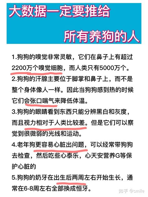 大数据一定要推给所有养狗的人 知乎