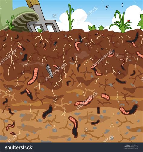 Soil Drawing At GetDrawings Free Download