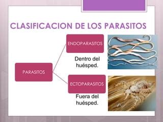 Parasitosis Intestinales Pptx