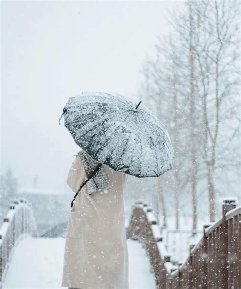 감기 걷고 있는 겨울 겨울 동화나라 겨울 산책 겨울 여행 겨울 코트 겨울 패션 겨울 풍경 겨울철의 계절 날씨 냉담한 눈 눈 내리는 눈 내리는 날씨