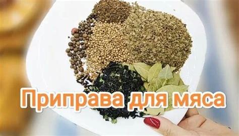 Домашняя приправа из семян и зелени Универсальная приправа для мяса Лучший способ приготовления