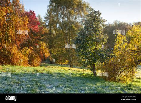 The Yorkshire Arboretum In Autumn Castle Howard York Uk 2nd