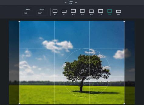 cropping and resizing fotoflexer