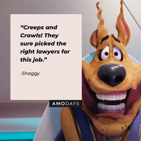 Best Shaggy Quotes Scooby Doo At Jackson Mcpherson Blog