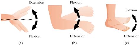 Sensors Free Full Text Investigating User Proficiency Of Motor