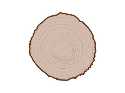 Page 3 Tree Top View PNGs For Free Download