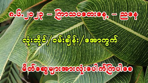 ကြာသပတေးနေ့ ညနေ အတွက် လုံးဘိုင် ဝမ်းချိန်း အောကွက် 2dlive 2d 2dmyanmar 2d3d 3d Youtube