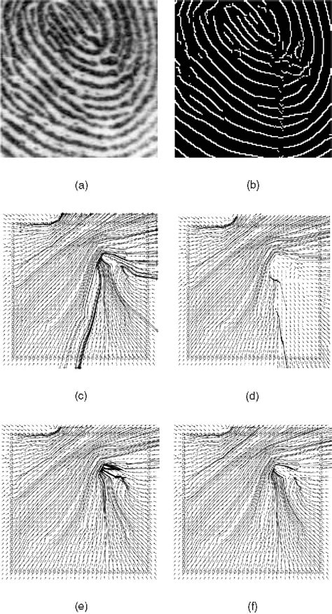 Figure 6 From Analyzing Image Structure By Multidimensional Frequency Modulation Semantic Scholar