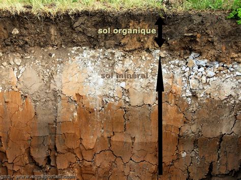 Sol Minéral Définition Et Explications