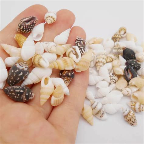 50 Pack Bulk Tiny Conch Shells 1 2 5 Cm Natural Seashells Diy Crafting Decor £3 98 Picclick Uk