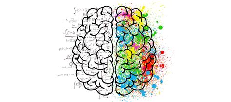 Encefalopatía Epiléptica Por Scn8a Mjn Neuro