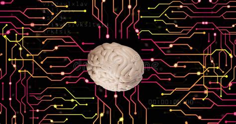 Animation Of Ai Brain And Data Processing Over Circuit Board Background