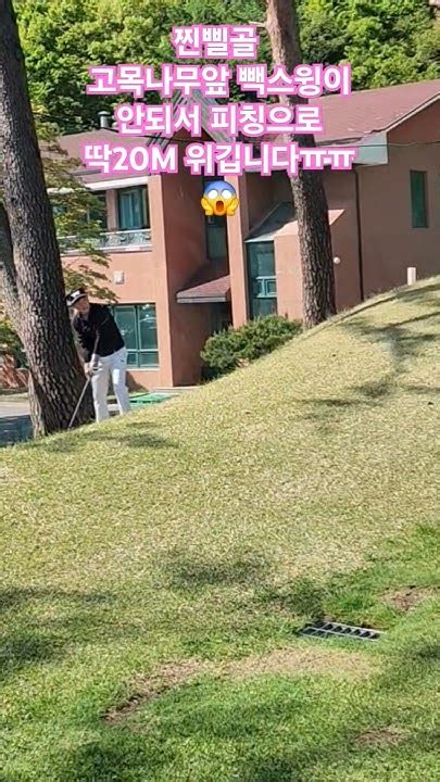 찐삘골빽스윙이🐕😭🐎⛳️😱골프레슨아이언레슨필드레슨골프골프존퍼터퍼팅퍼터레슨퍼팅레슨비거리레슨드로우샷페이드샷드라이버샷레슨루틴숏게임숏게임레슨필드숏게임