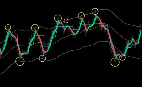 Qbands Indicator Quantvue User Manual