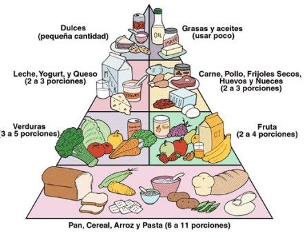 ¡una Buena Vida La Pirámide Y El óvalo Nutricional