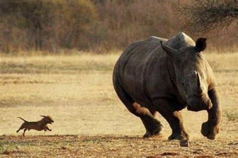 Özgür Sanlı On Linkedin Comparison Of Scalers In Python By Creating