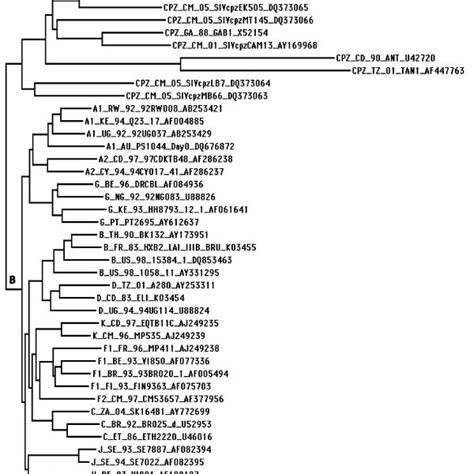 Hla Class 1 Alleles With Available Crystal Structure Download Table