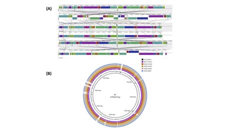 A Multiple Genome Alignment Of The Five Sequenced Poultry Strains And Download Scientific