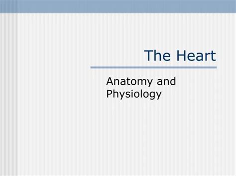 PPT The Heart PowerPoint Presentation Free Download ID