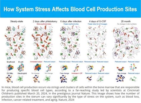 Very Interesting Jyoti Raychaudhuri