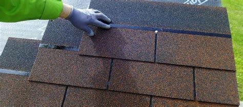 Installation Of Ecological Roof Roofing
