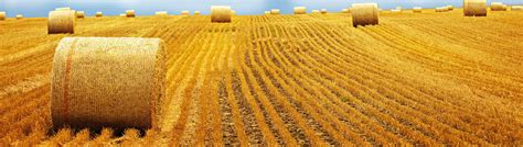 Balebind Netwrap Net Wrap Tama Canada Ltd