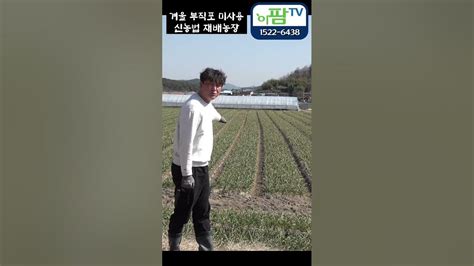 올해 겨울 정말 추웠다 그러나 부직포 사용 안한 마늘농장의 작황이 더 좋다고 뭔 말이야 Youtube