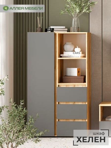 Шкаф распашной АЛЛЕЯ МЕБЕЛИ Шкаф многофункциональный ХЕЛЕН ШК 03 80 2x46x141 4 см купить C