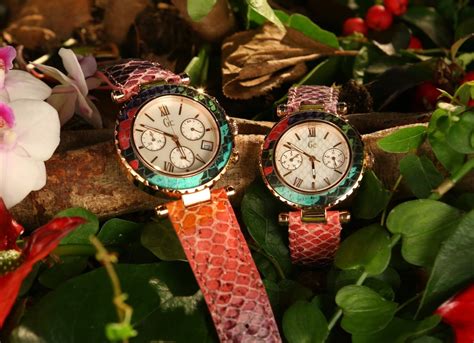 Gc Python Diver Chic Masterhorologer