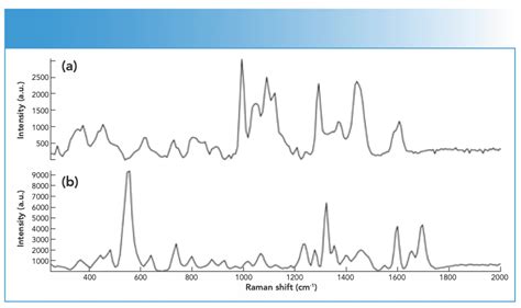 Characterization Of Street Drugs Using Handheld Fourier Transform Raman Spectroscopy