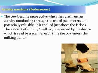 Sub Estrus In Cattles And Buffaloes Pptx
