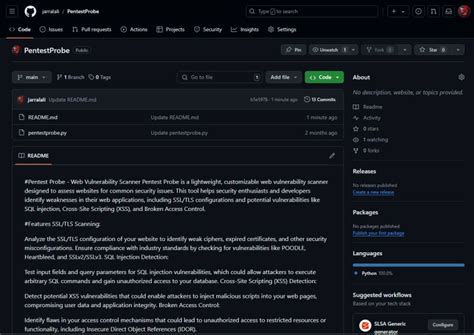 Introducing Pentest Probe A Web Vulnerability Scanner Muhammad Ali Jarral Posted On The Topic