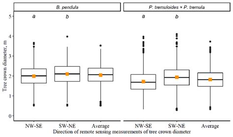 Tree Crown Diameter Of B Pendula And P Tremuloides × P Tremula In Download Scientific