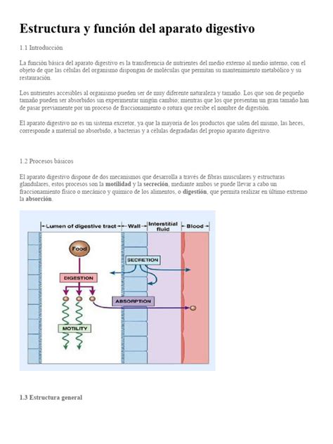 Estructura Y Función Del Aparato Digestivo Pdf Digestión Sistema