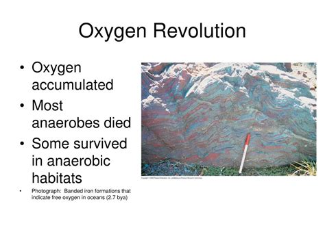 Ppt Origin Of Life And Prokaryotes Powerpoint Presentation Free Download Id 3420111