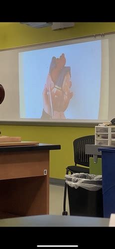 Lab Test Flashcards Quizlet