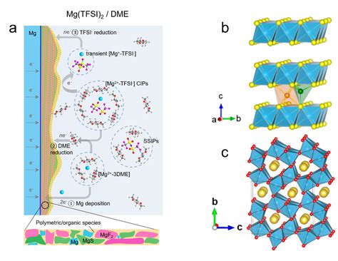 Research Nazar Group University Of Waterloo