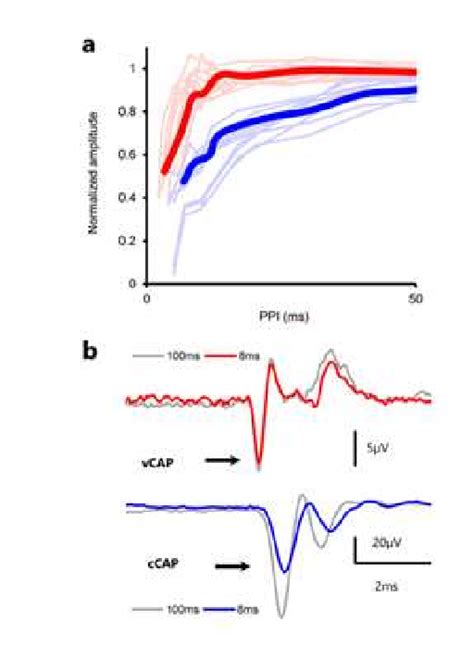 Forward Masking Of Vcaps Vs Ccaps In A Paired Pulse Paradigm A